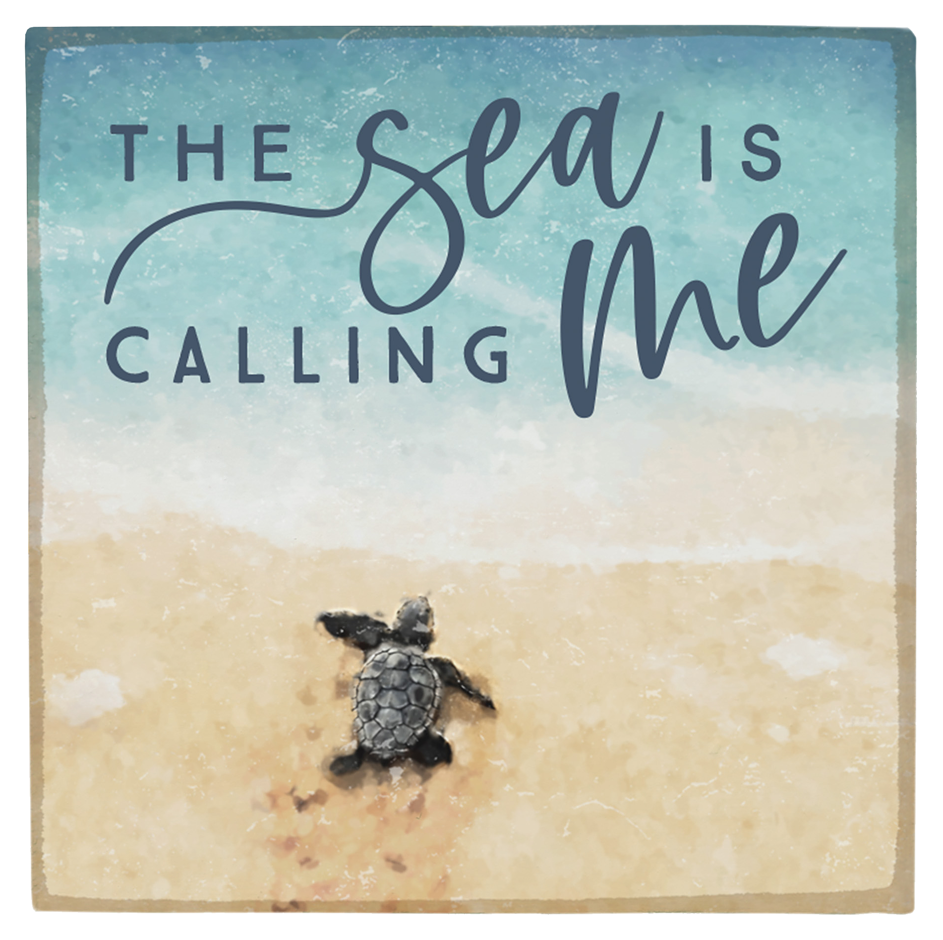 Sincere Surroundings Sea Calling Turtle Square Magnet | Cabela's